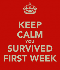 For The First Week Everything You Need For The First Week Of First